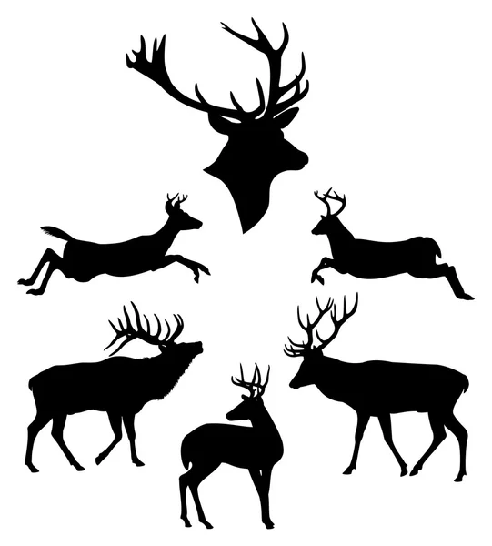 Silhouette de cerf images vectorielles, Silhouette de cerf vecteurs libres de droits | Depositphotos