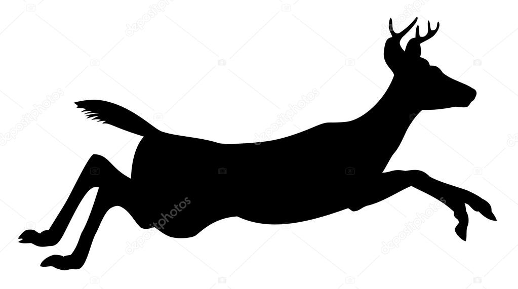 Deer Jumping Stock Vector Image by ©predragilievsi #84825630