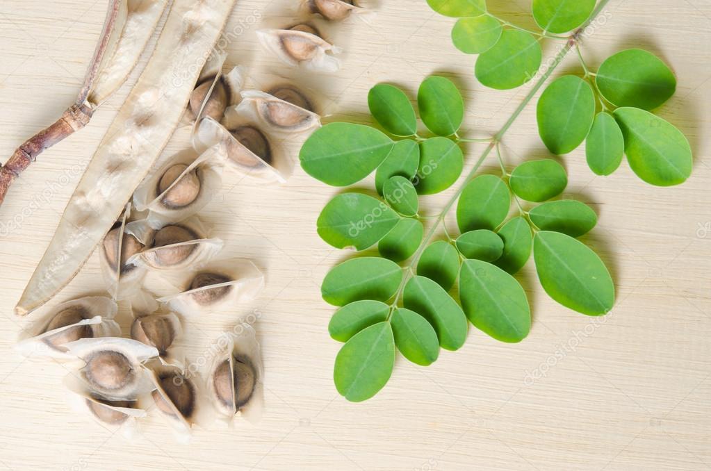 Moringa leaf and Moringa seed on wooden board background Stock Photo by ...