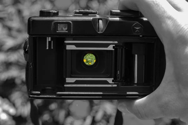 การถ่ายภาพจากแผ่นจารึกโบราณ Stock Photos, Royalty Free การถ่ายภาพจาก ...