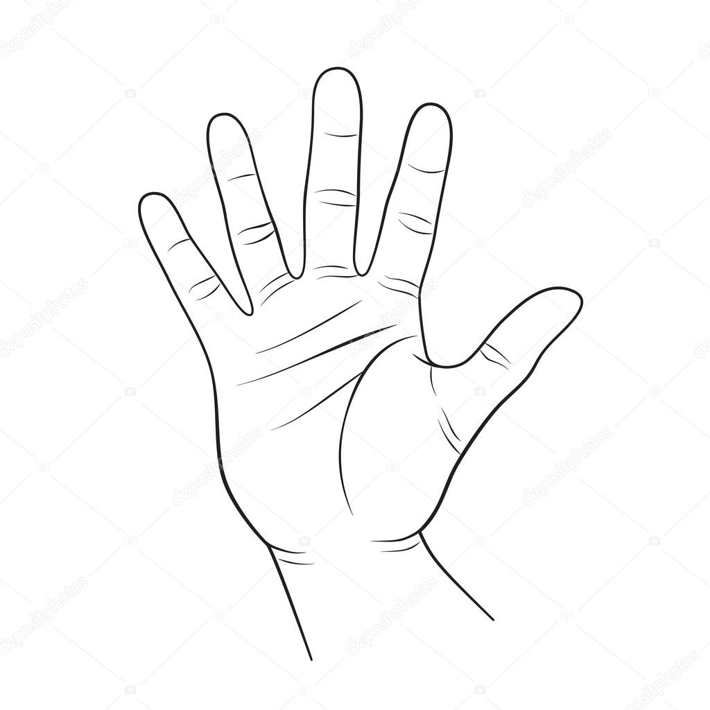 Human palm outline Stock Vector by ©ollymolly 105761490