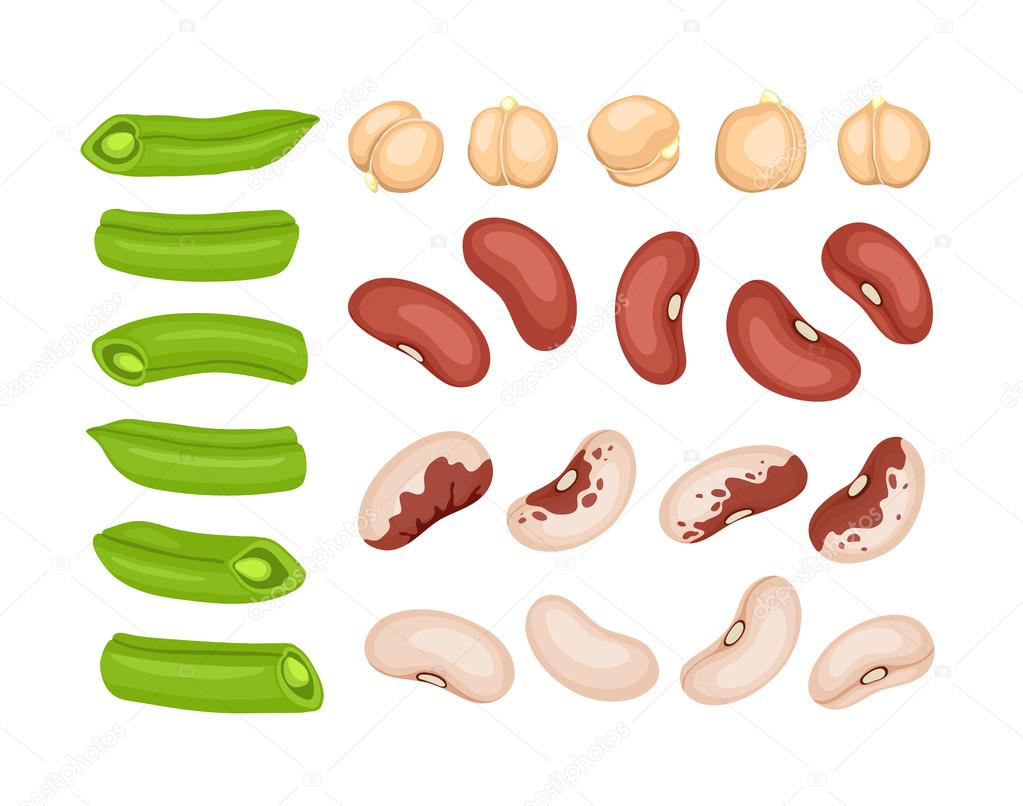 colección de frijoles vector 2024