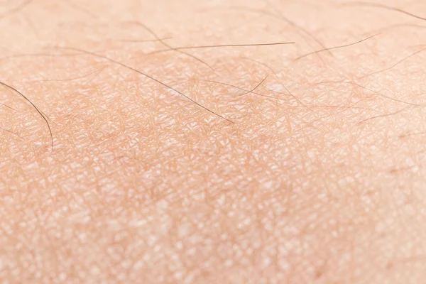 HUMAN SKIN TEXTURE Images - Search Images on Everypixel