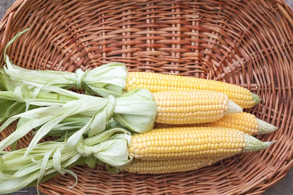 Corn on the cob in a basket from a rod with a place for inscription ...