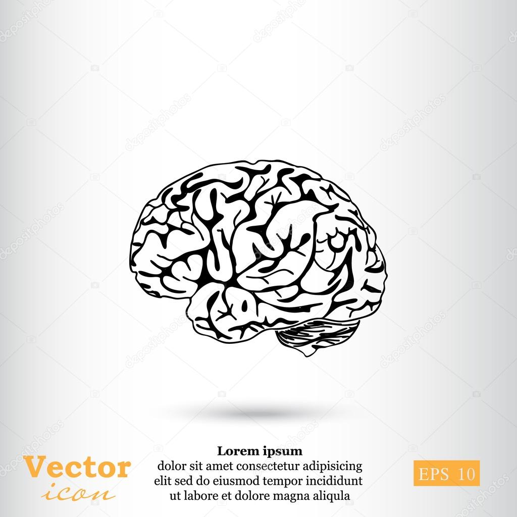 Symbol des menschlichen Gehirns Stock-Vektorgrafik von ©Victory-stoker ...