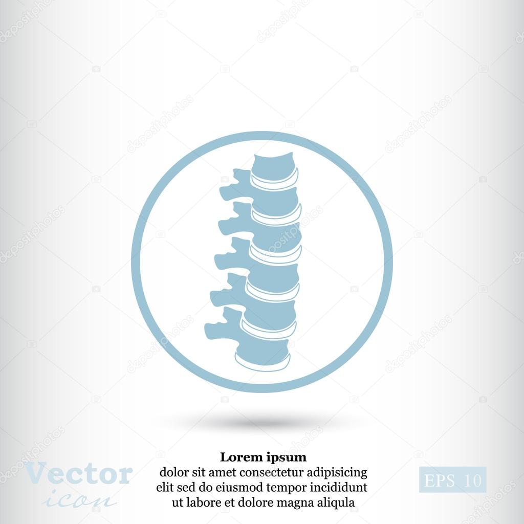 Human spine icon Stock Vector by ©Victory-stoker 107615806