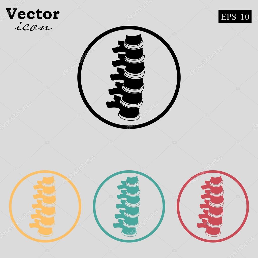 conjunto de iconos de columna vertebral humana 2023