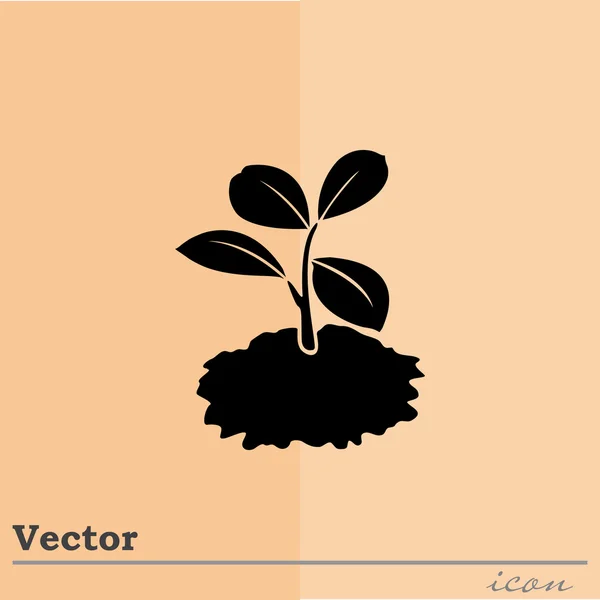 100,000 Plant roots Vector Images | Depositphotos