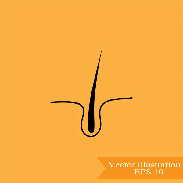 Human hair anatomy Vector Art Stock Images | Depositphotos