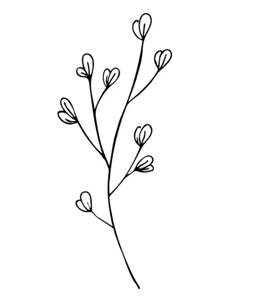 Botanical Linear Leaf Set Abstract Minimalist Leaves Collection ...