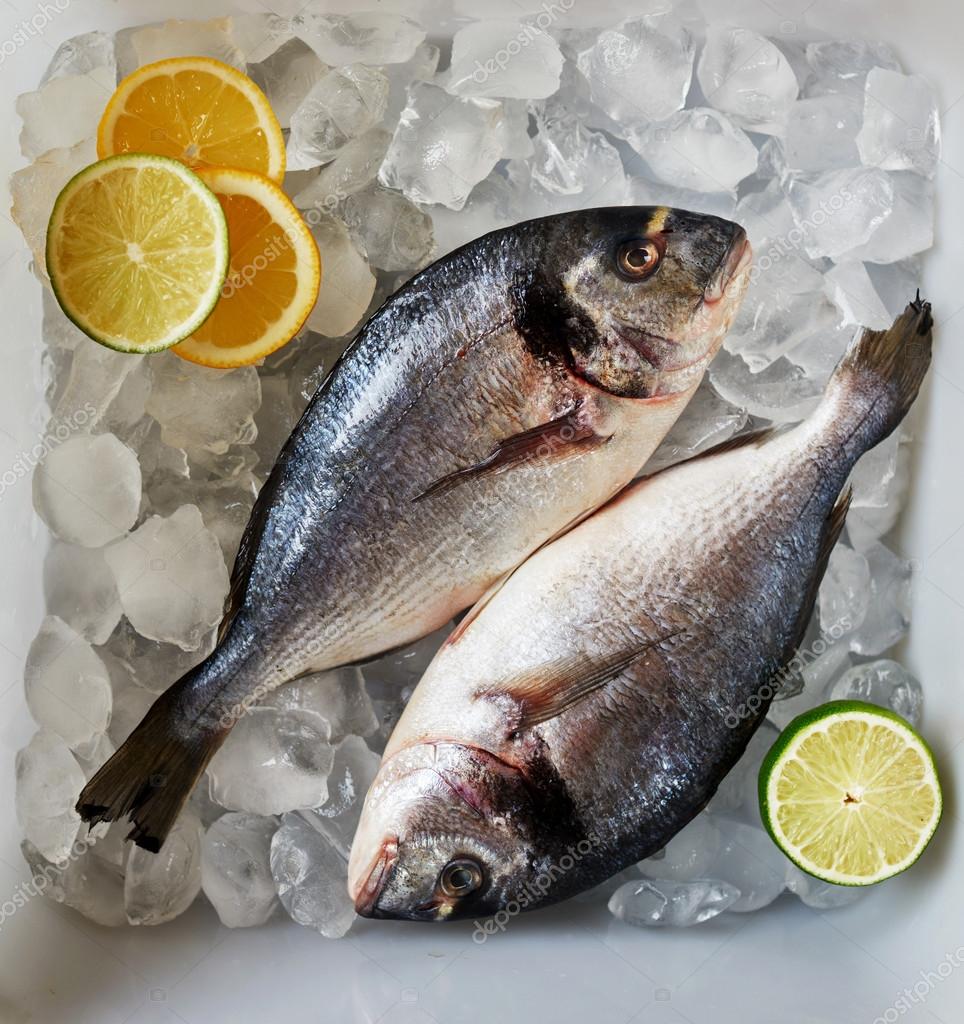 Fresh fish is in a container with ice — Stock Photo © eskstock@gmail ...