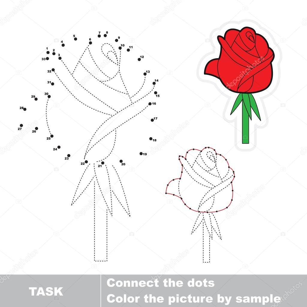 Tracing Roses