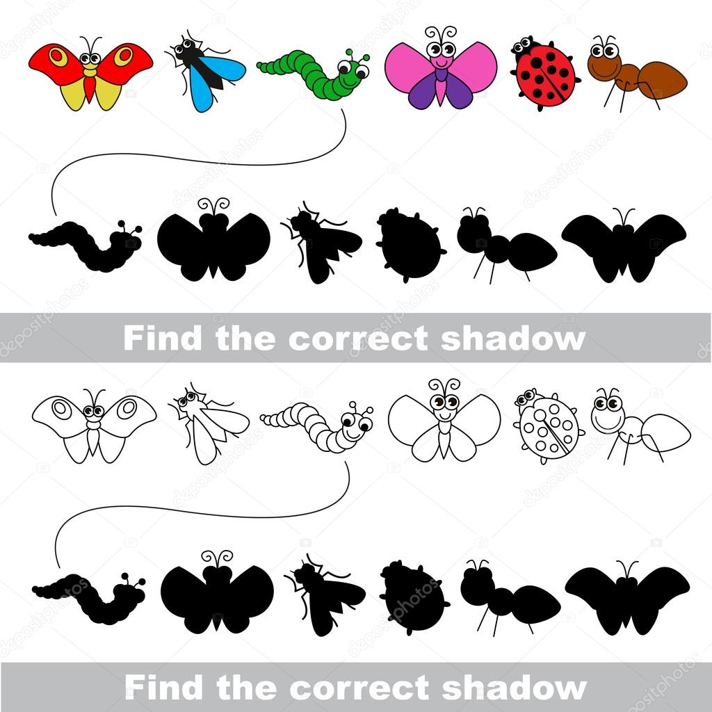 Conjunto de insectos. Encontrar sombra correcta . vector, gráfico ...