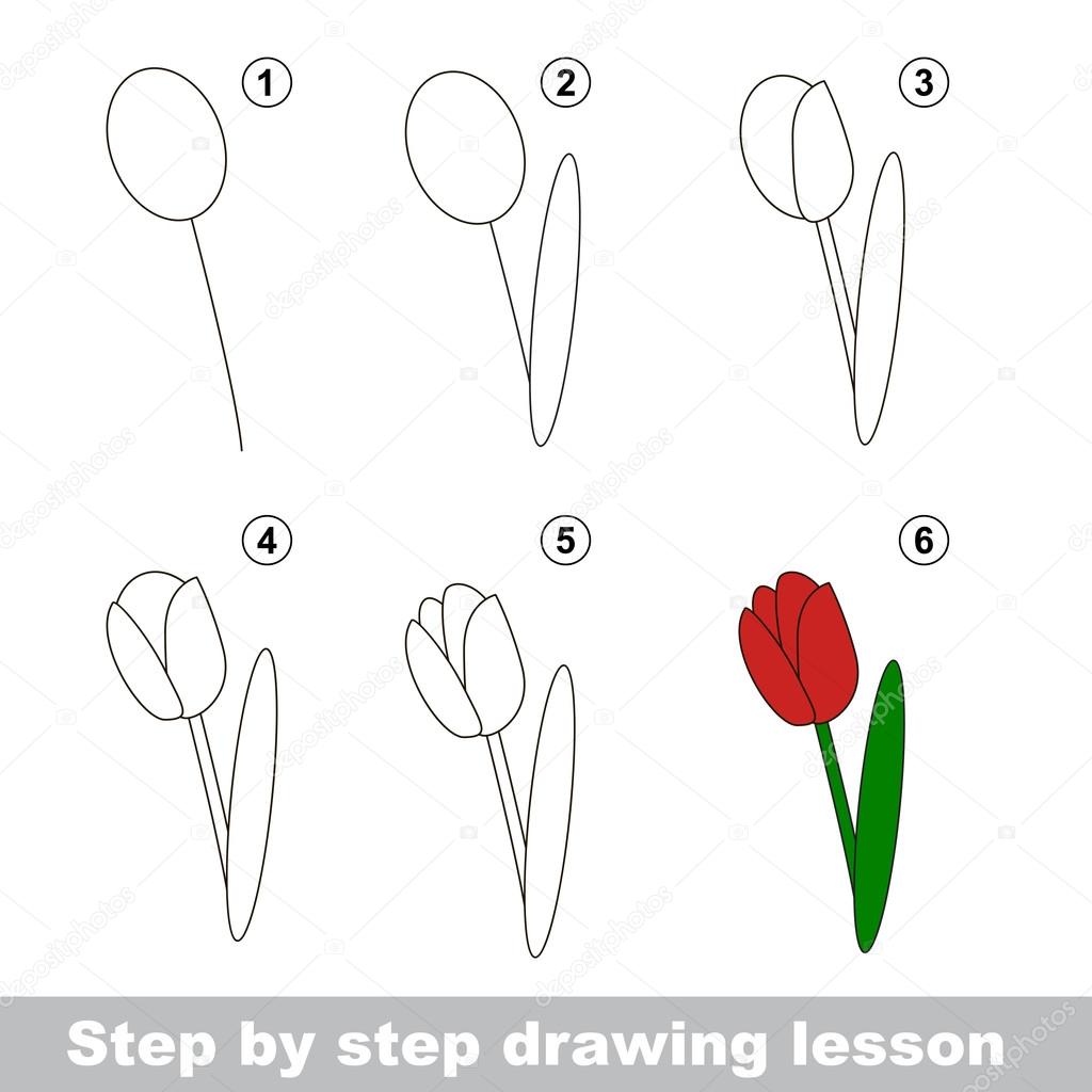 Tekening tutorial. Hoe teken je een tulp — Stockvector © Anna ...
