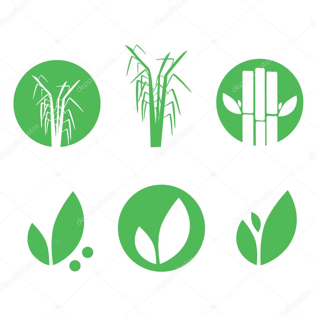 Sugar cane icons set vector illustration eps 10 Stock Vector Image by ...