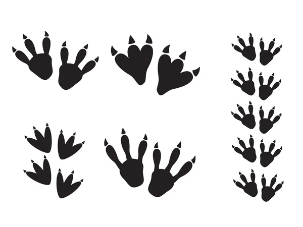 Dinosaur tracks Vector Art Stock Images | Depositphotos