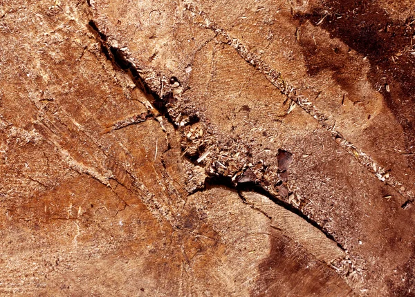 Prehistoric earth Stock Photos, Royalty Free Prehistoric earth Images ...