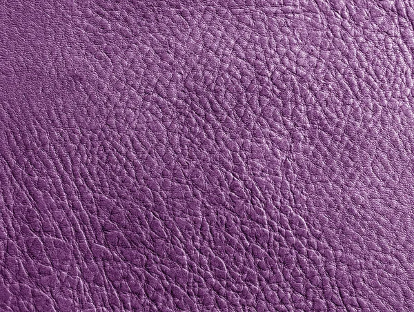 Abstract color leather surface. - Stock Image - Everypixel