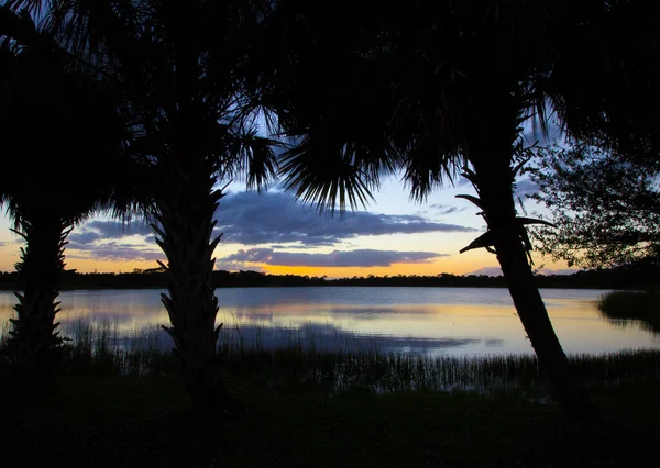 Florida scenery Stock Photos, Royalty Free Florida scenery Images ...