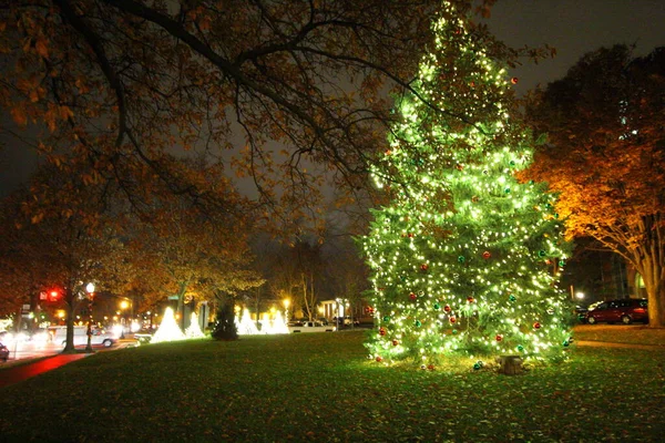 Christmas tree park Stock Photos, Royalty Free Christmas tree park ...
