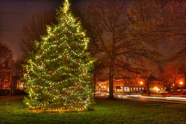 Christmas tree park Stock Photos, Royalty Free Christmas tree park ...