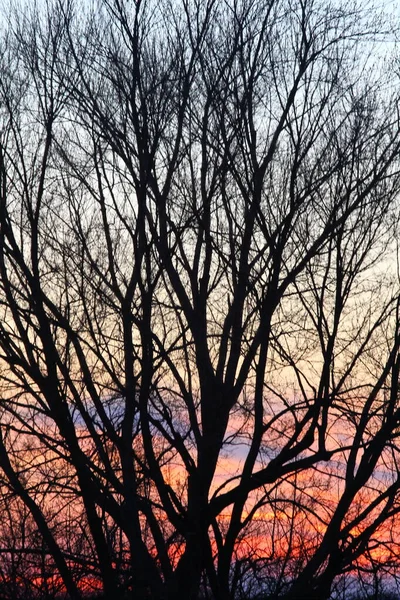 Gloaming Stock Photos, Royalty Free Gloaming Images | Depositphotos