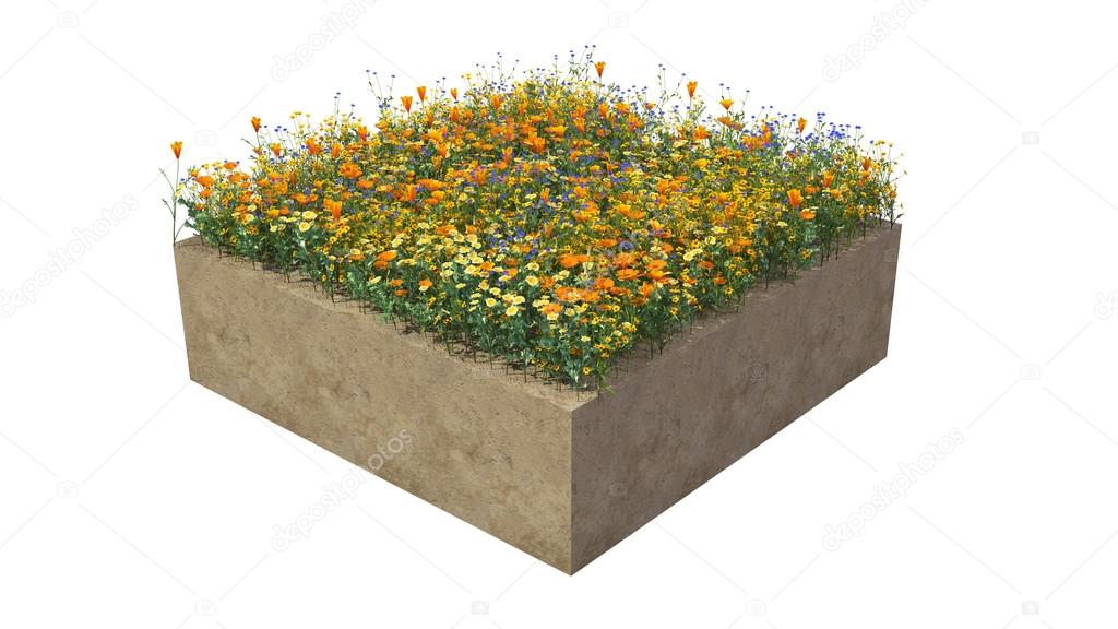 perfil de pasto y suelo 2022