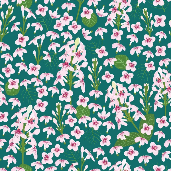 Tosca background Vector Art Stock Images | Depositphotos