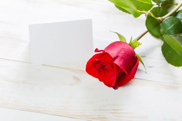 Red rose with card Stock Photo by ©Fotofabrika 103129702