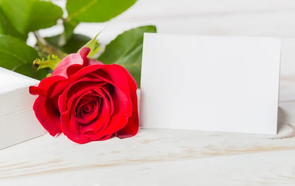 Red rose with card Stock Photo by ©Fotofabrika 103129702