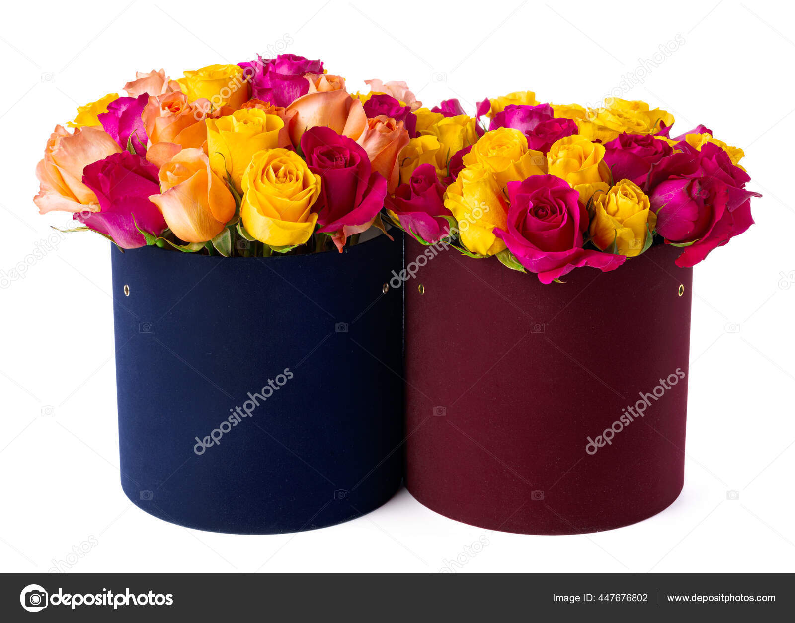 Beautiful boxes with fresh roses isolated on white background Stock ...