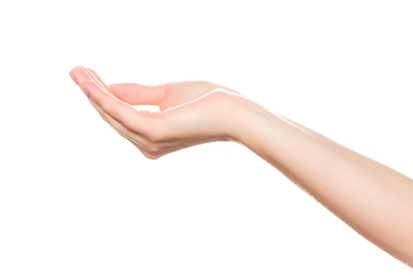 Girl hand Stock Photos, Royalty Free Girl hand Images | Depositphotos