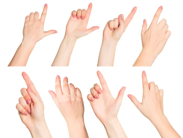 Set of many different hands Stock Photo by ©Fotofabrika 83020048