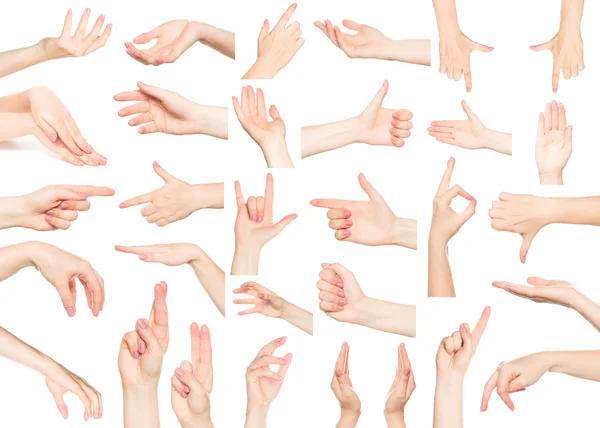 Set of many different hands Stock Photo by ©Fotofabrika 83020608