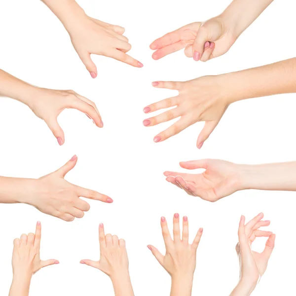 Set of many different hands Stock Photo by ©Fotofabrika 83020048