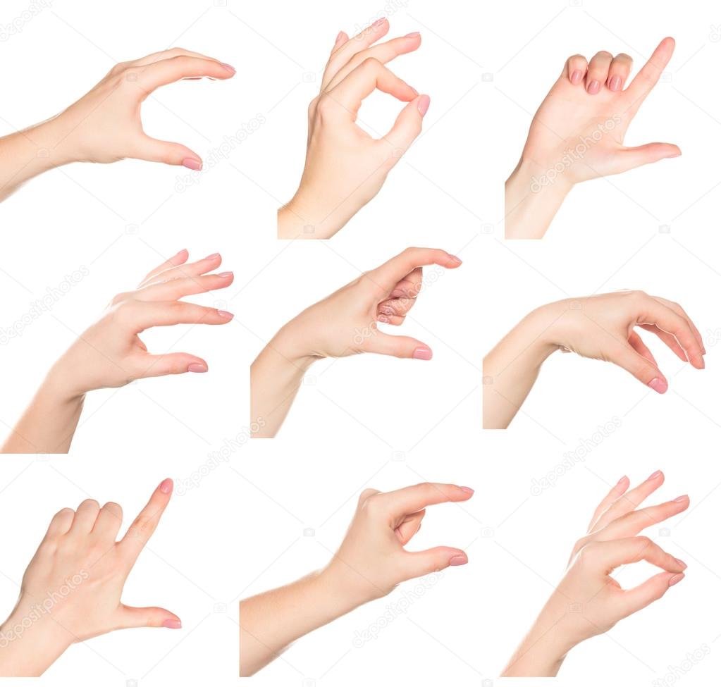 Set of many different hands Stock Photo by ©Fotofabrika 83020048