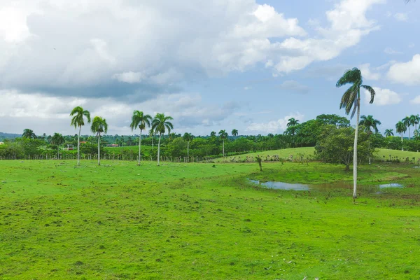 Panamá rural Stock Photos, Royalty Free Panamá rural Images | Depositphotos