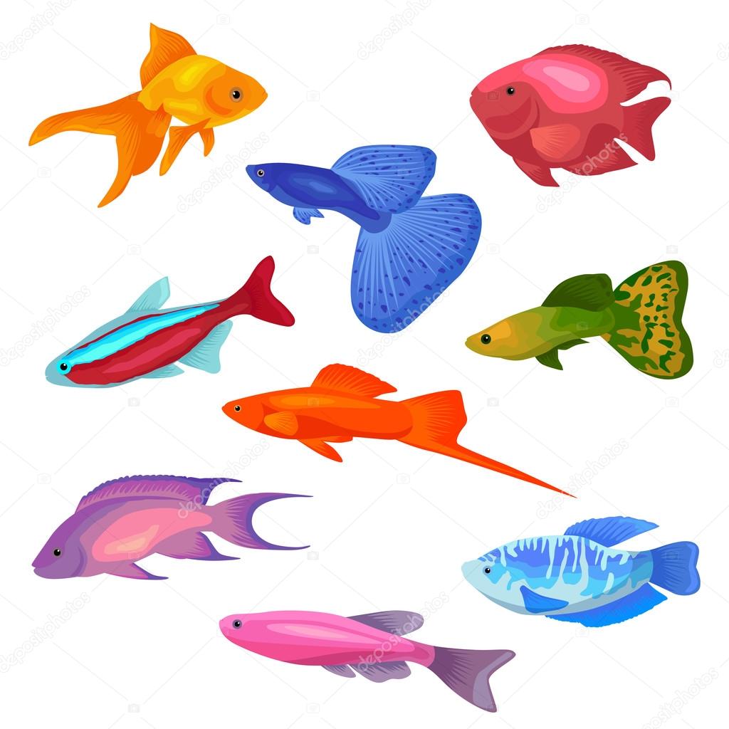 Tropical Fish Vector Tropical Fish Vectors Download Free