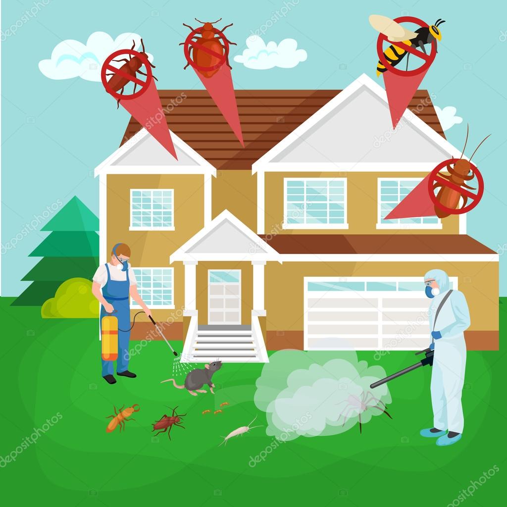 concepto de control de plagas con insectos exterminador silueta plana ...