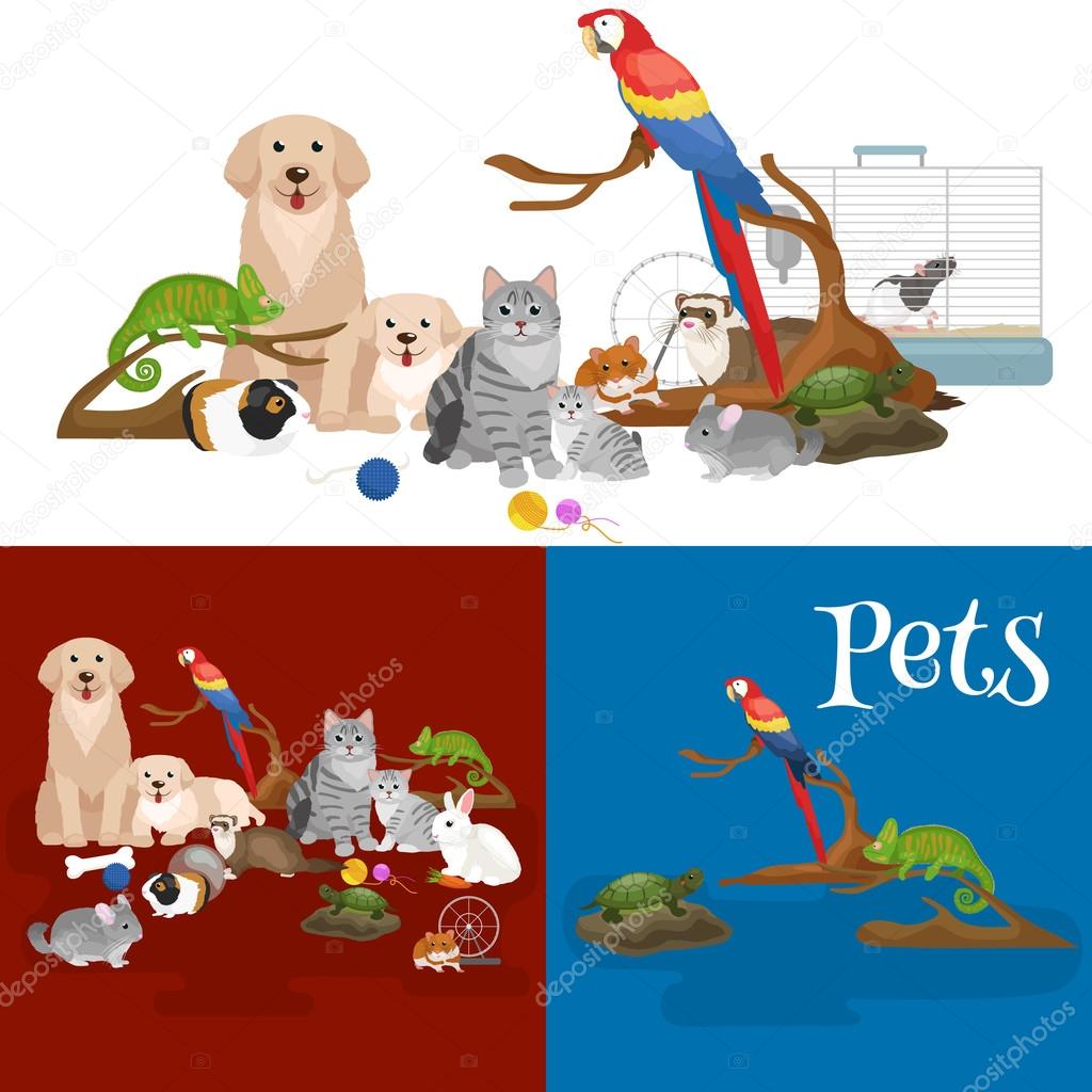 Home pets set, cat dog parrot goldfish hamster, domesticated animals ...