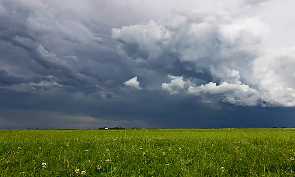 Sumner Storm clouds above meadow with green grass Rising Thunderstorm ...