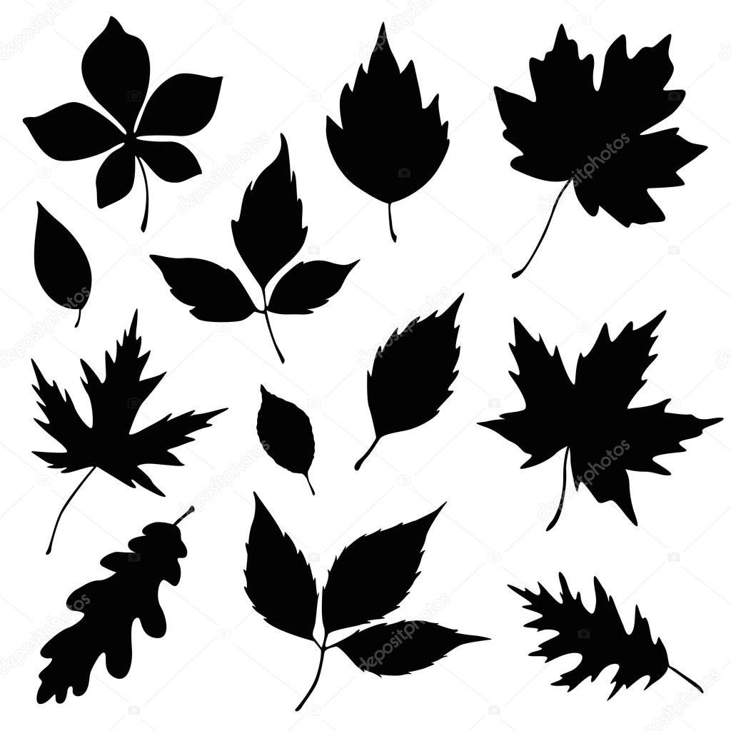 Autumn Leaves Silhouette Set Stock Vector By ©ivankeulen 99813062