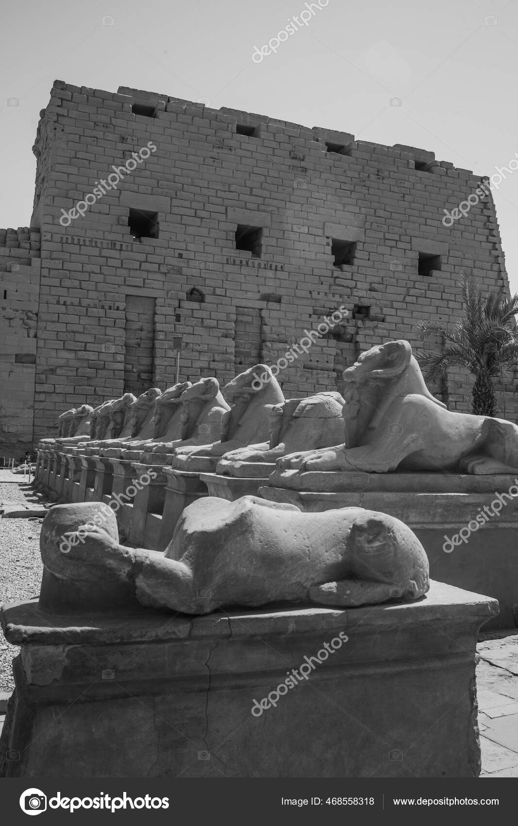 Deir Bahari Dayr Bahri Complex Mortuary Temples Tombs Located West ...