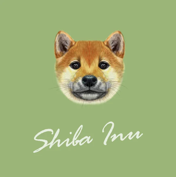 Shibe Background