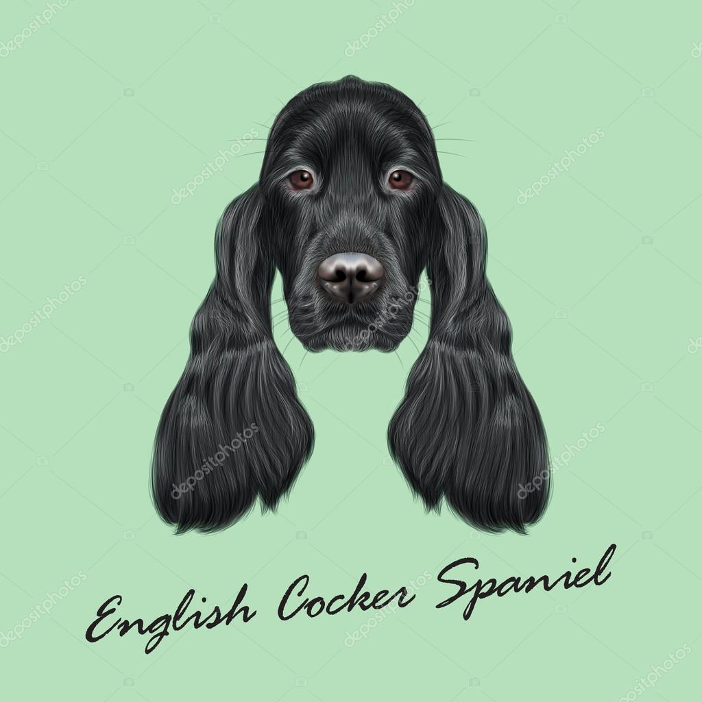 Vector Illustrated portrait of Gordon Setter dog. Stock Vector Image by ...