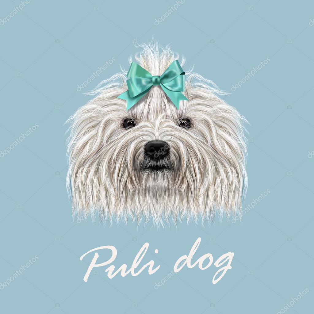 Vector Illustrated Portrait of Puli dog. Stock Vector by ©ant_art 111297236