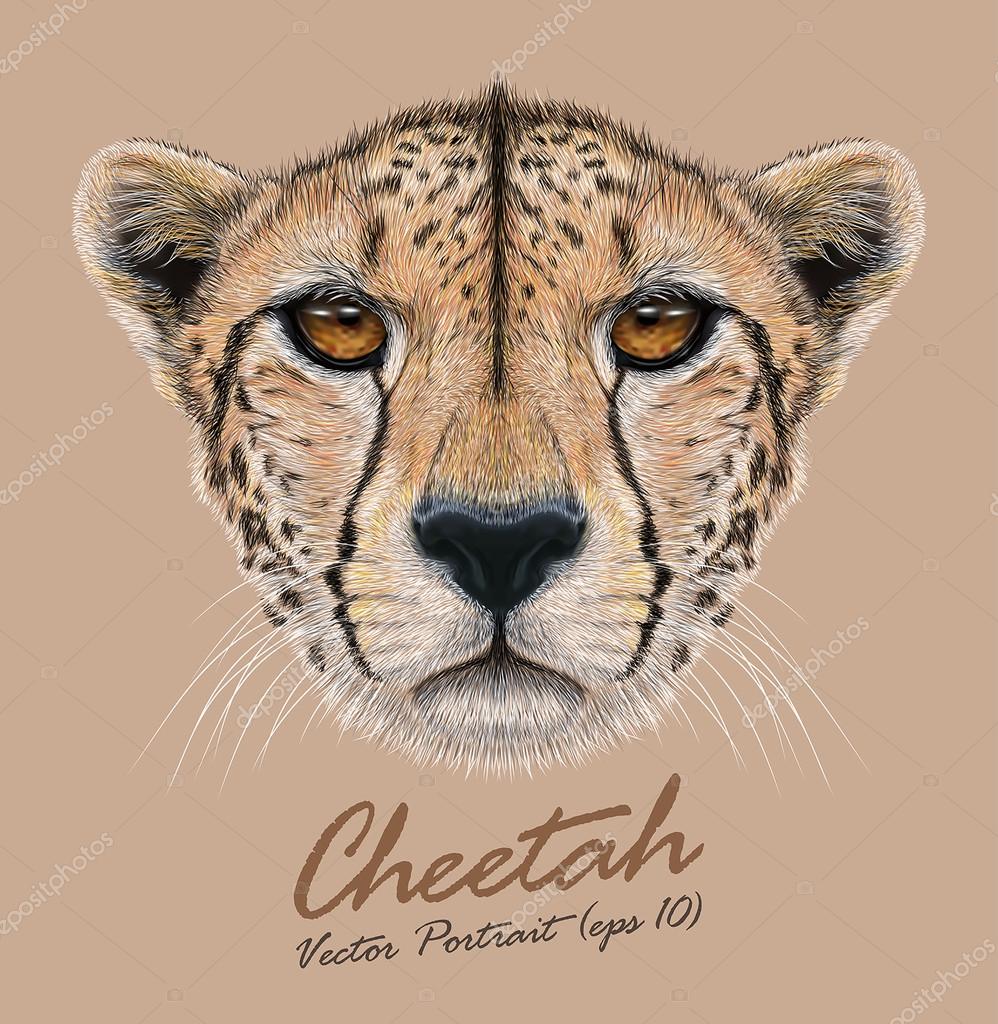 Cheetah animal cute face. Vector African wild fast cat head portrait ...