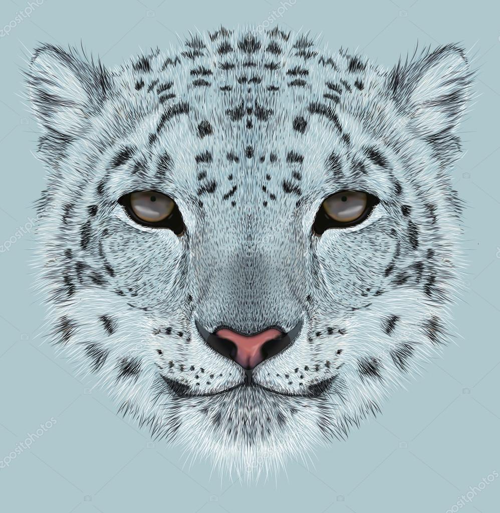 Illustrative Portrait of Snow Leopard — Stock Photo © ant_art #85296158