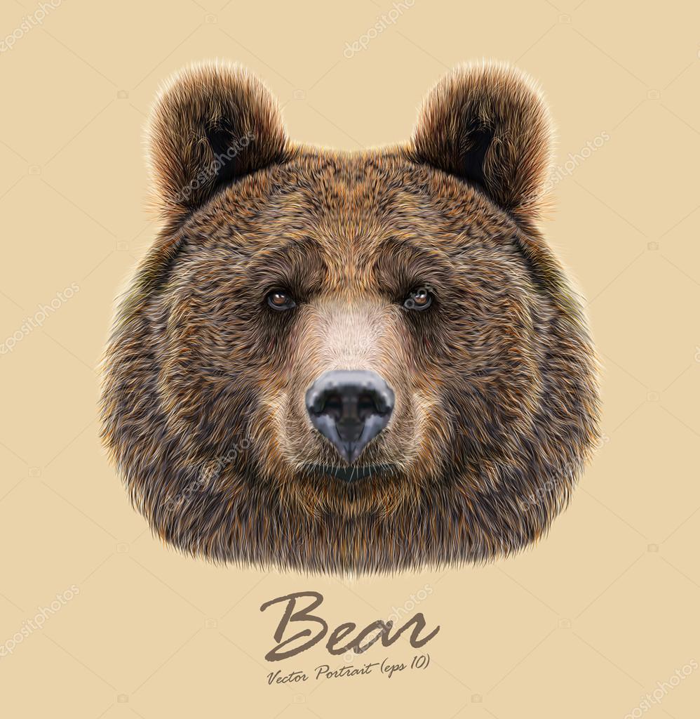 Grizzly Bear Head