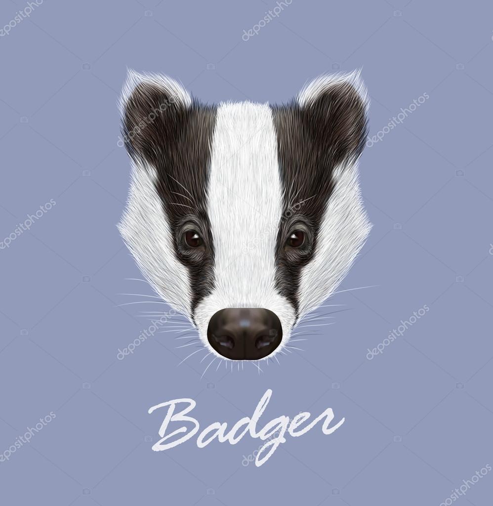 Cute Badger Drawing